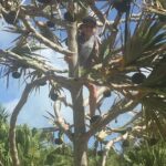 Bermudian Cooking Class" and Walking Shared Tour - Who Will Love This Tour?