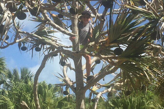 Bermudian Cooking Class" and Walking Shared Tour - Who Will Love This Tour?