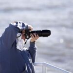 Berthier-sur-Mer: 1000 Razorbill Penguins Observation Cruise - Who should consider this experience?
