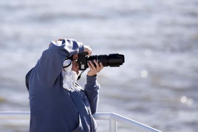 Berthier-sur-Mer: 1000 Razorbill Penguins Observation Cruise - Who should consider this experience?