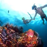 Best Bali Snorkeling at Blue Lagoon Beach: All-Inclusive - The Sum Up