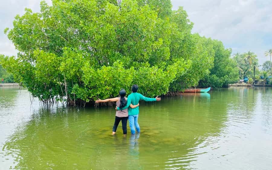 Best Day Tour from Trivandrum to Ashtamudi Lake Backwaters - Who Will Love This Tour?