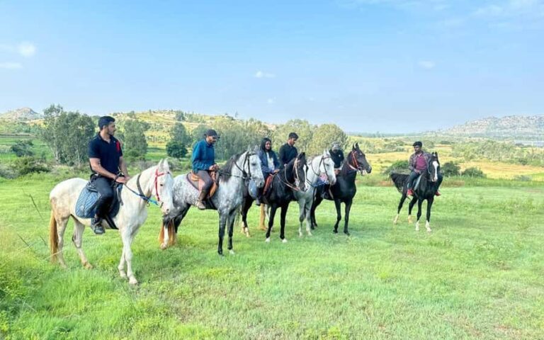 Best Horse Riding Safari Tour from Bangalore - The Detailed Itinerary: What to Expect