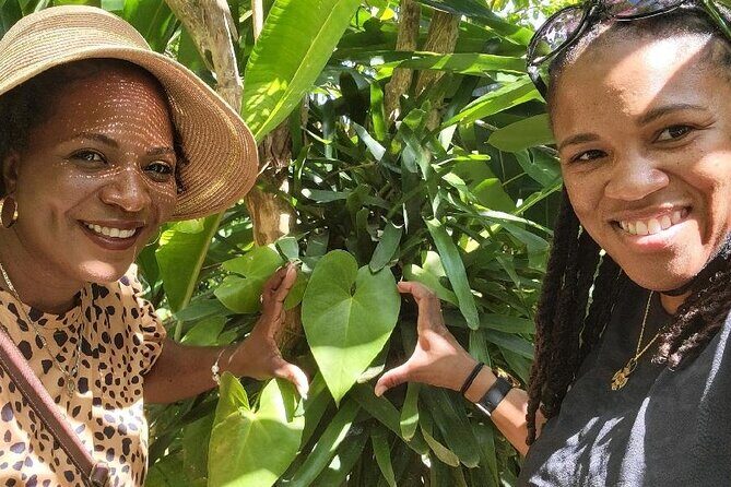 Best Jeep Tour of ST.Thomas Virgin Islands - Transportation & Group Size