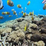 Best Of Bali 3 Days Bali Adventure Tour Package - Day 2: North Bali’s Waterfalls and Temples