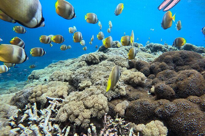 Best Of Bali 3 Days Bali Adventure Tour Package - Day 2: North Bali’s Waterfalls and Temples