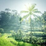 Best of Bali: Private Customizable Day Tour - Who Should Consider This Tour?