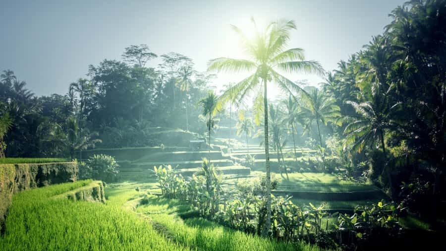 Best of Bali: Private Customizable Day Tour - Who Should Consider This Tour?