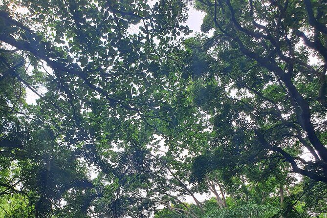 Best of Grenada Falls, Lake, Rum and Cocoa Experience - Practical Details and What They Mean for You