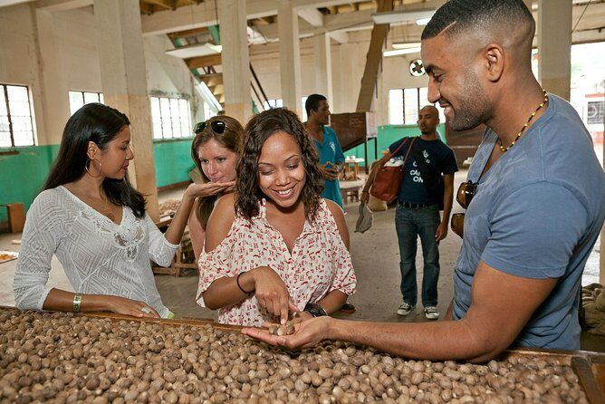 Best Of Grenada Historical Spice Tour and Annandale Waterfall - What to Expect: The Tour’s Practical Details