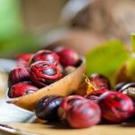 Best of Grenada: Waterfalls, Chocolate, Nutmeg Museum, History - Authenticity and Insights from Reviews