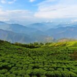 Best of Kurseong: Guided Half-Day Tour with Hotel Pickup - Practical Details and What It Means for You