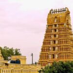 Best of Mysore (Guided Full Day City Sightseeing Tour by Car) - Who Will Appreciate This Tour?