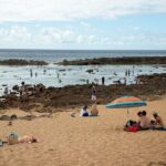Best Of Oahu: Grand Circle Island Small Group Tour From Waikiki - The Sum Up