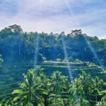 Best of Ubud - Full day Tour + FREE WI-FI - Who Will Enjoy This Tour Most?