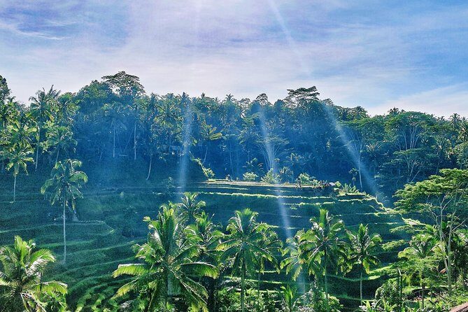 Best of Ubud - Full day Tour + FREE WI-FI - Who Will Enjoy This Tour Most?