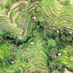 Best of Ubud Village Tour with Jungle Swing - Most Instagram Site - Who Should Consider This Tour?