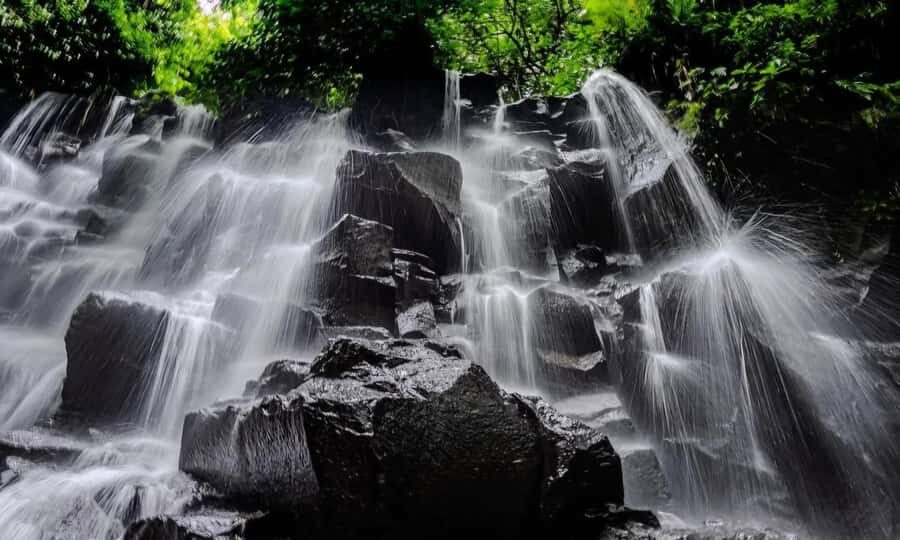 Best of Ubud: Waterfall, Temple & Rice Terrace - What You’ll Get for Your Money