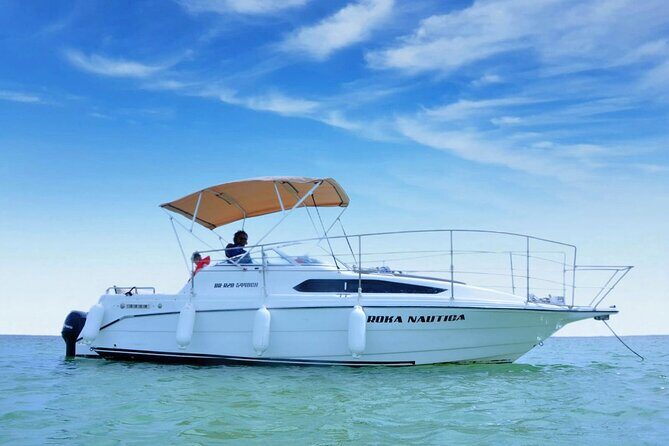 Best Private Punta Cana Snorkeling Tour & Natural Pool Stop - Pricing and Value