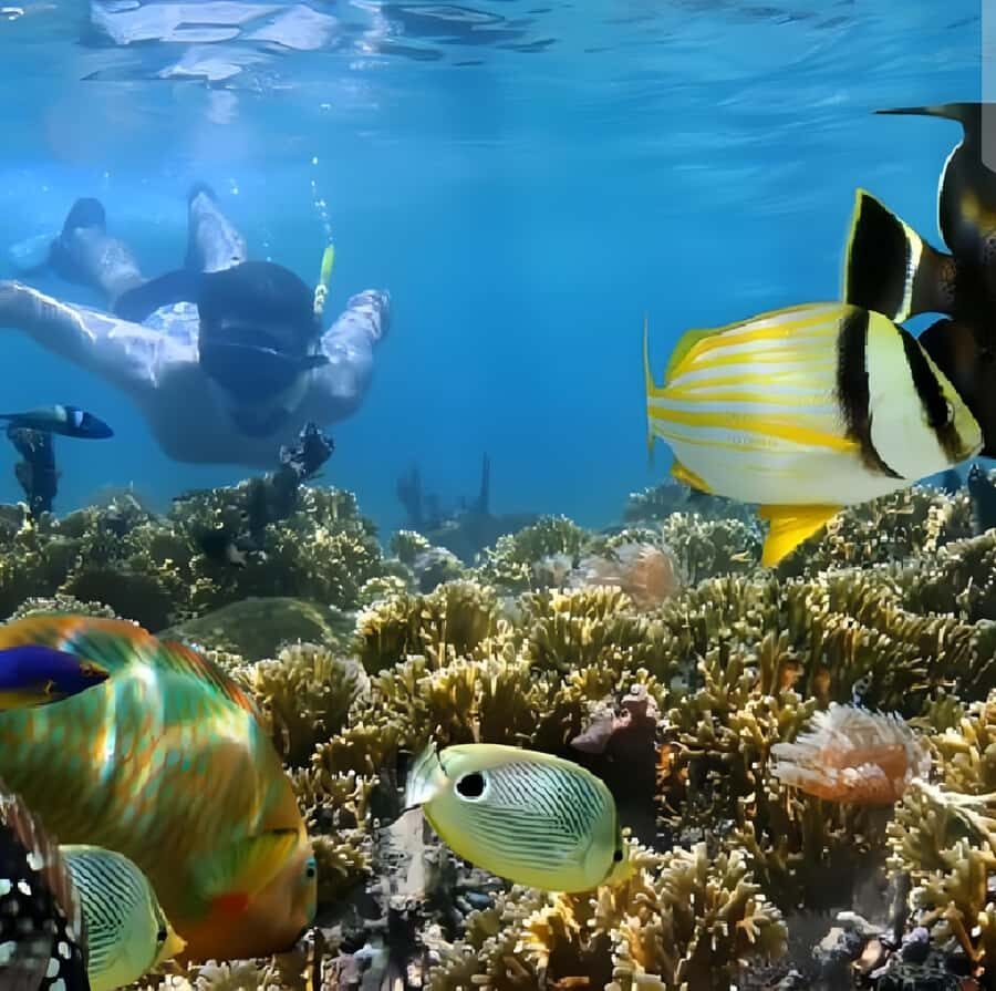 Best Snorkeling Adventure in Bali with Exciting Activities - Who Should Consider This Tour?