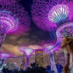 Best-Value 2-in-1 Combo Eat By Day, Shows By Nights - Transport and Timing: Making It Easy