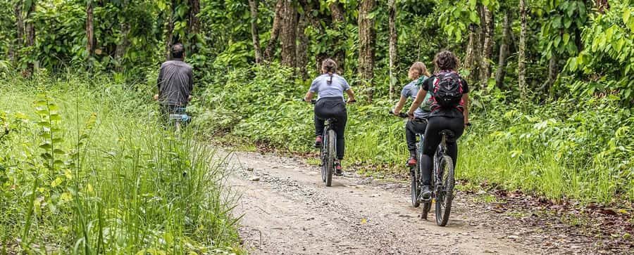 Bharatpur: 20000 Lake Guided Tour by Guide in Bicycle - The Bicycle Journey: A Practical and Scenic Ride