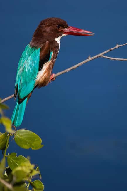 Bharatpur Bird Watching & Elephant Rescue Centre From Delhi - Journey and Itinerary Breakdown