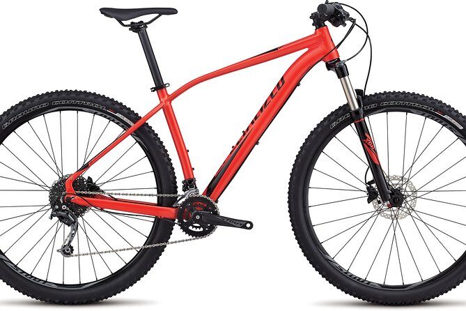 Bicycle Rent - 29" MTB bike high quality - Why Choose This Bike Rental?