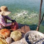 Bicycle Tour to Local village and rice fields in Siem Reap - Who Should Consider This Tour?