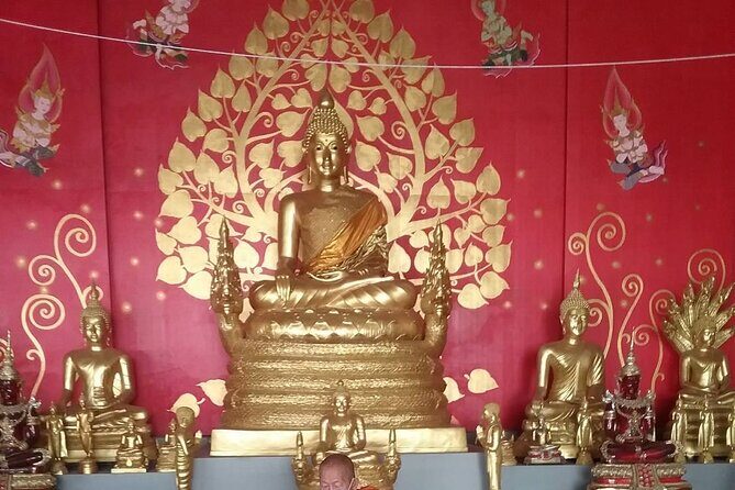 Big Buddha &Tiger Park & Monkey Hill ViewPoint & Phuket Old town - What to Expect in Your Day