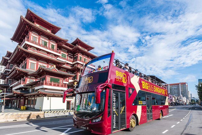 Big Bus Singapore Hop-On Hop-Off Tour - The Two Main Routes and Their Stops
