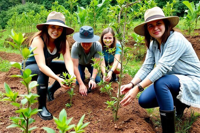 Big Island Epic Coffee Tour - ATV Ride Included - Who Will Love This Tour?
