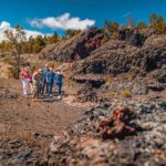 Big Island: Volcano Direct Hiking Adventure - Detailed Breakdown of the Itinerary