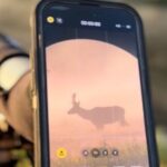 Big Sky Winter Wildlife Safari Lamar Valley Breakfast and Lunch - Real-World Experiences and Authentic Impressions