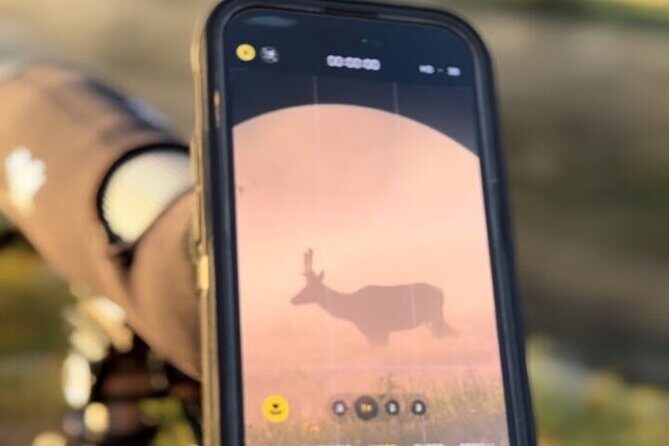 Big Sky Winter Wildlife Safari Lamar Valley Breakfast and Lunch - Real-World Experiences and Authentic Impressions