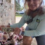 Bimini Island Food Taste Experience Tour - How the Tour Works