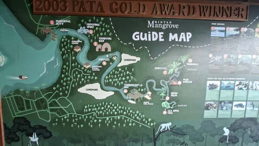 Bintan Island : Mangrove Or Fireflies Tour - Who Will Love This Tour?