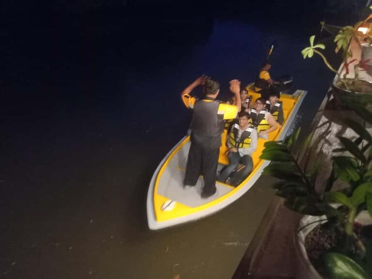 Bintan: Mangrove and Firefly Tour with Boat Ride - Practicalities and Considerations