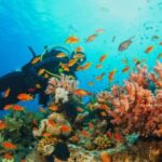 Bintan: Snorkeling, Kayaking, and Fishing Tour - What to Expect and What to Bring