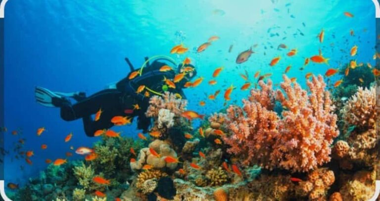 Bintan: Snorkeling, Kayaking, and Fishing Tour - What to Expect and What to Bring