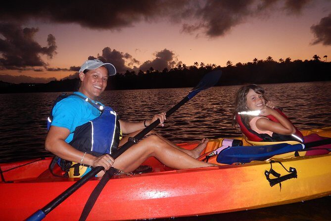 Bio Bay Kayak Tour in Fajardo - The Itinerary: What You Can Expect