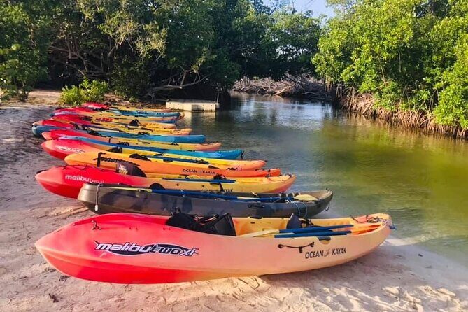 Bio Bay Night Kayak Tour in Fajardo - Practical Details and Tips for Travelers