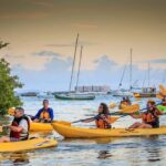 Bio Bay Night Kayak Tour with Transport from San Juan - Weather and Timing Considerations