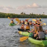 Bio Bay Night Kayaking with Transport from San Juan Area - Who Should Consider This Tour?