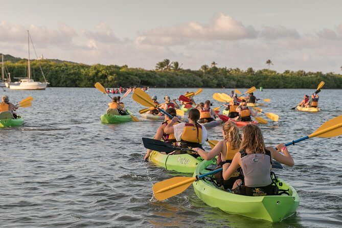 Bio Bay Night Kayaking with Transport from San Juan Area - Who Should Consider This Tour?