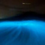 Bio Bay Tour Vieques  Full Clear Canoes Experience - Key Points