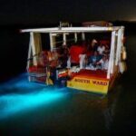 Bioluminescence Lagoon Tour from Montego Bay with Pick Up - What Is the Bioluminescent Lagoon Tour from Montego Bay?