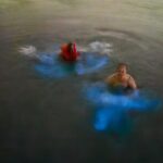 Bioluminescence Tour - The Value of the Tour