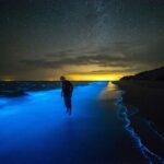 Bioluminescent Bay Adventure in Grand Cayman - Who Will Love This Tour?