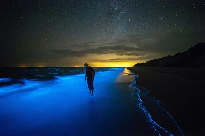 Bioluminescent Bay Adventure in Grand Cayman - Who Will Love This Tour?